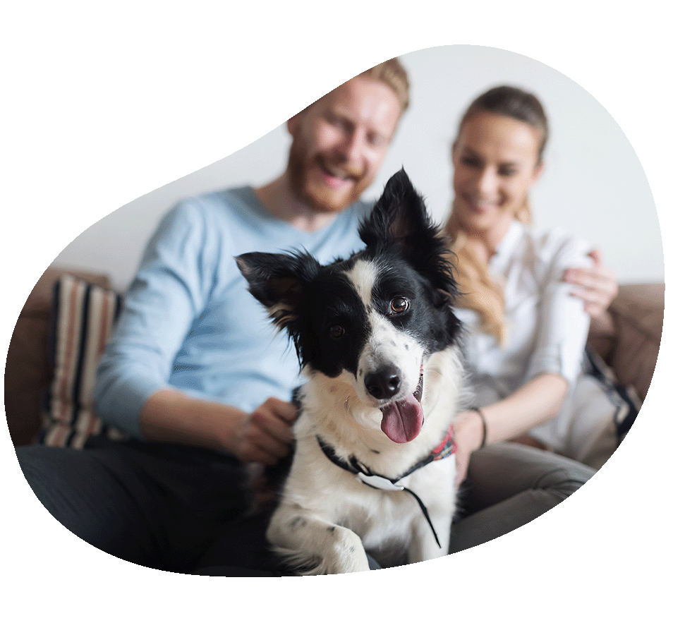 Renters Insurance Program for Residents and Management